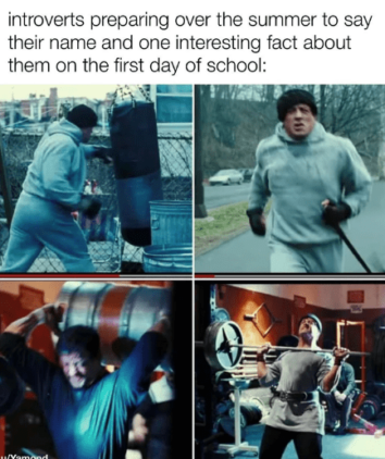 30+ Introvert Memes For Shy Leaders Who Never Wanted To Be The Boss But ...