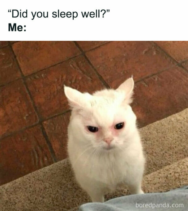 50 Mental Health Memes Pledging To "Heal Through Laughter"