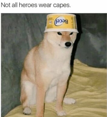 45 Funny Animal Memes To Help You Laugh Your Way Through The Shorter ...