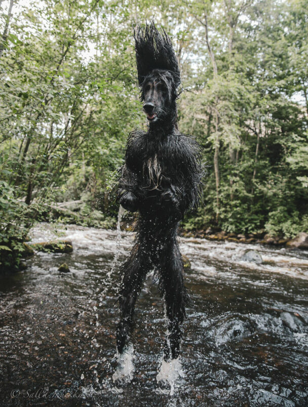 40 Oddly Terrifying Pictures That Are As Unsettling As They Are ...