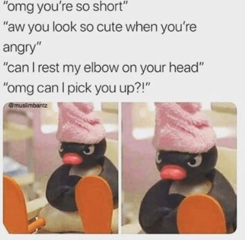 30+ Funny Memes Dedicated To Celebrating The Short Kings And Queens In ...