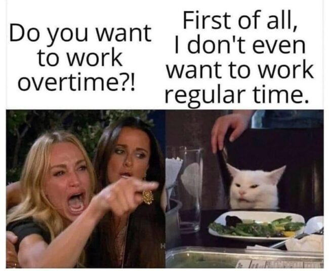 37 Relatable Work Memes That Captured The Humor And Irony Of Employment ...