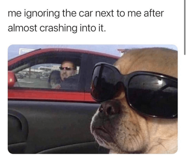 28 Relatable Driving Memes For Folks Who Don't Need A Self-Driving Car ...