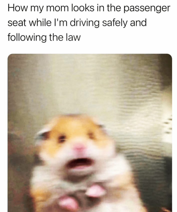 28 Relatable Driving Memes For Folks Who Don't Need A Self-Driving Car ...
