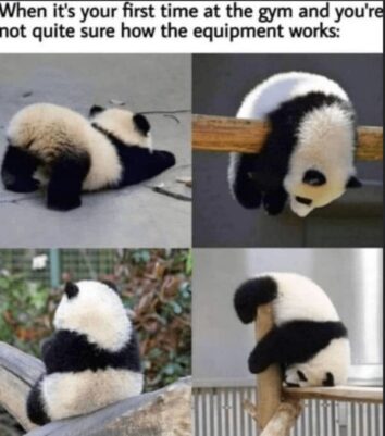 45 Funny Animal Memes To Help You Laugh Your Way Through The Shorter ...