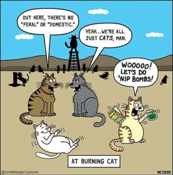 Cartoonist Scott Metzger Delights Pet Owners With Hilarious Cartoons ...