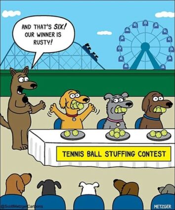 Cartoonist Scott Metzger Delights Pet Owners With Hilarious Cartoons ...