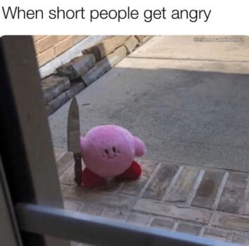 30+ Funny Memes Dedicated To Celebrating The Short Kings And Queens In ...