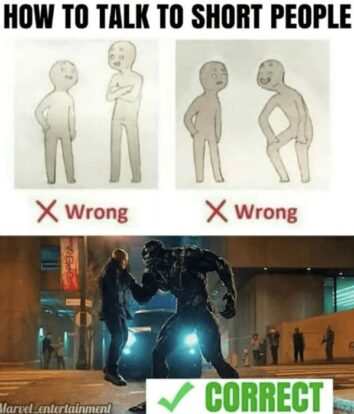 30+ Funny Memes Dedicated To Celebrating The Short Kings And Queens In ...