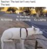 45 Funny Animal Memes To Help You Laugh Your Way Through The Shorter ...