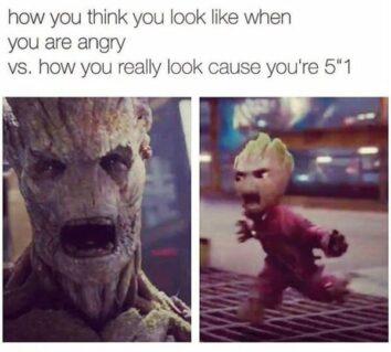 30+ Funny Memes Dedicated To Celebrating The Short Kings And Queens In ...