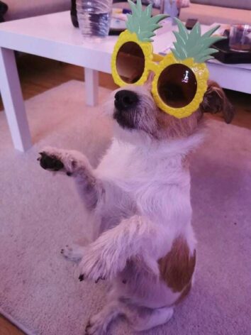 35 Random And/Or Funny Pictures To Spice Up Your Afternoon