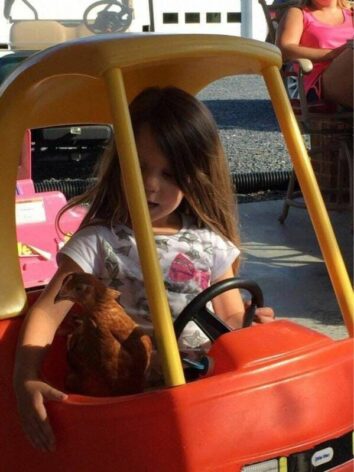 35 Random And/Or Funny Pictures To Spice Up Your Afternoon