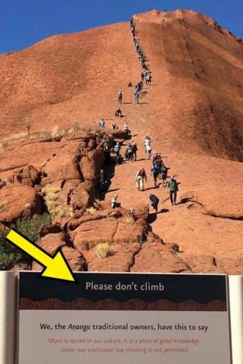 35 Random And/Or Funny Pictures To Spice Up Your Afternoon