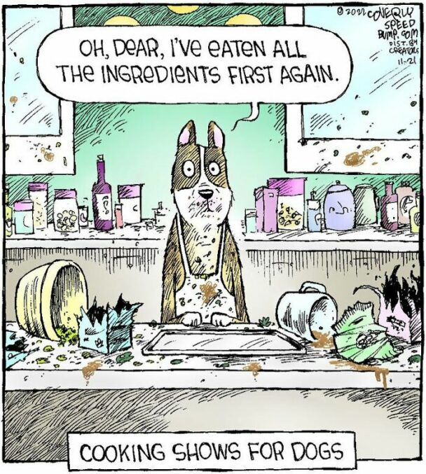 30 Witty And Weird One-Panel Comics By Dave Coverly