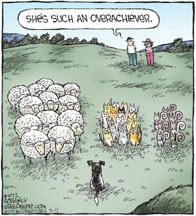 30 Witty And Weird One-Panel Comics By Dave Coverly
