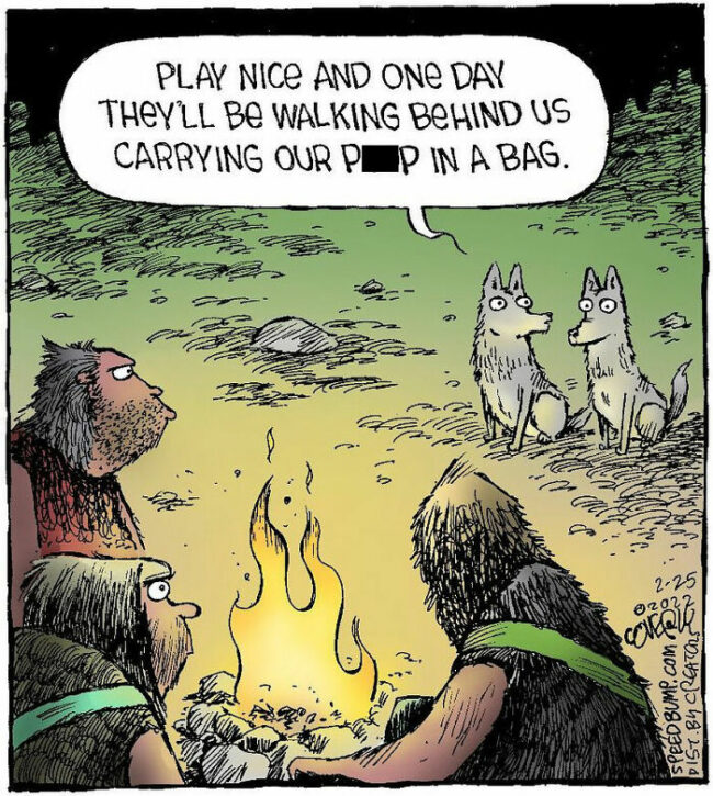 30 Witty And Weird One-Panel Comics By Dave Coverly