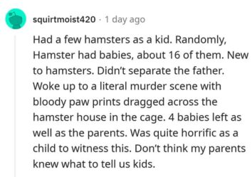 25+ Mind-Boggling Hamster Stories That Surprised Pet Owners In This ...