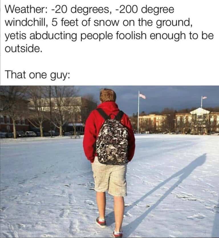 35+ Snow Memes To Melt Away Your Winter Blues