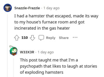 25+ Mind-Boggling Hamster Stories That Surprised Pet Owners In This ...