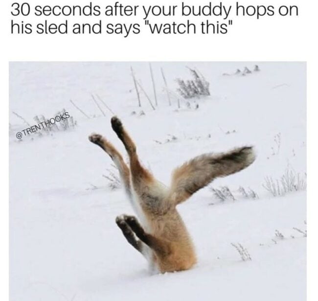 35+ Snow Memes To Melt Away Your Winter Blues