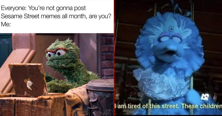 30 Funny Sesame Street Memes Packed With Nostalgia So You Don't Forget Where You Came From
