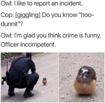 40 Funny Animal Memes To Add Laughter To Your Workweek (December 11, 2023)