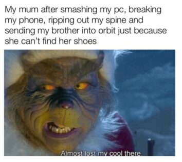 40 Funny Grinch Memes For When Your Heart Feels Two Sizes Too Small