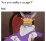 40 Funny Cougar Memes That Prove Age Is Just A Punchline