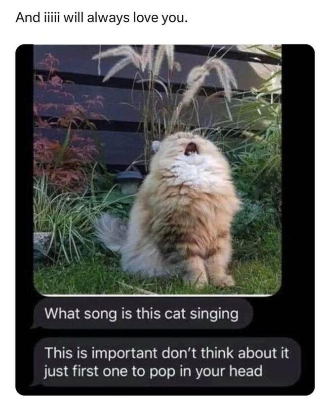 35 Hilariously Awkward Animals Memes Proving Not Everything They Do Is ...