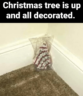 22 Hilariously Festive Christmas Tree Memes Ranging From Festive To ...