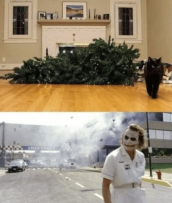 22 Hilariously Festive Christmas Tree Memes Ranging From Festive To ...