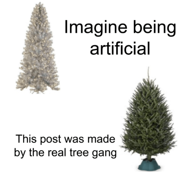 22 Hilariously Festive Christmas Tree Memes Ranging From Festive To ...