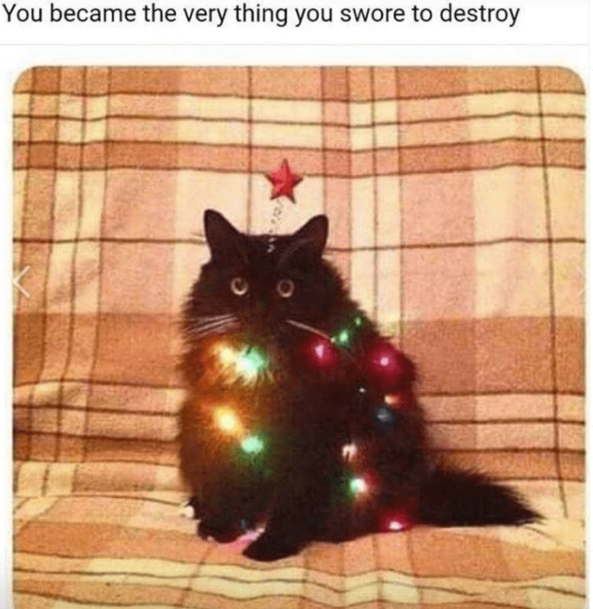 22 Hilariously Festive Christmas Tree Memes Ranging From Festive To ...
