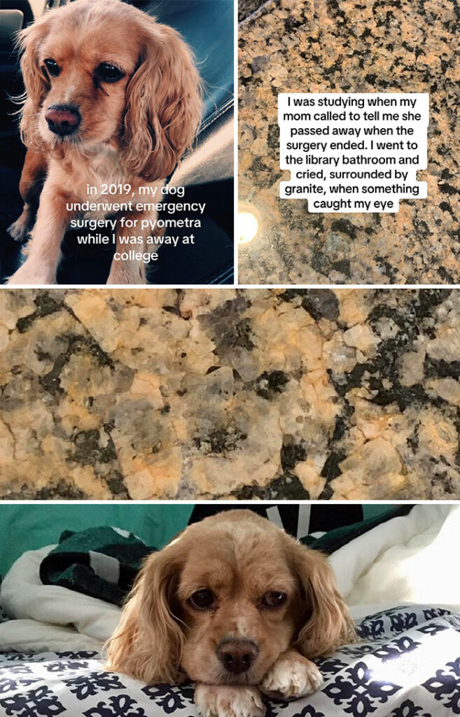 New Tiktok Trend Has People Sharing The Most Unsettling, Creepy ...