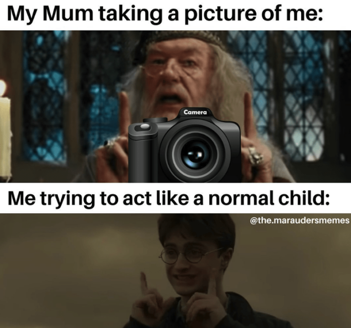 30 Dumbledore Memes In Loving Memory Of The Headmaster Of Our Hearts