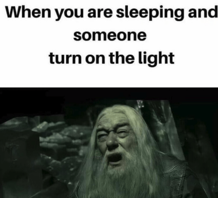 30 Dumbledore Memes In Loving Memory Of The Headmaster Of Our Hearts