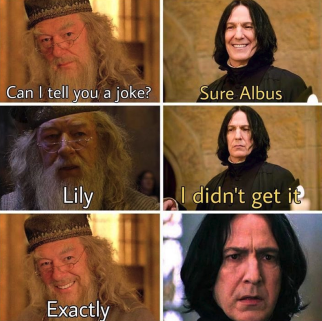 30 Dumbledore Memes In Loving Memory Of The Headmaster Of Our Hearts