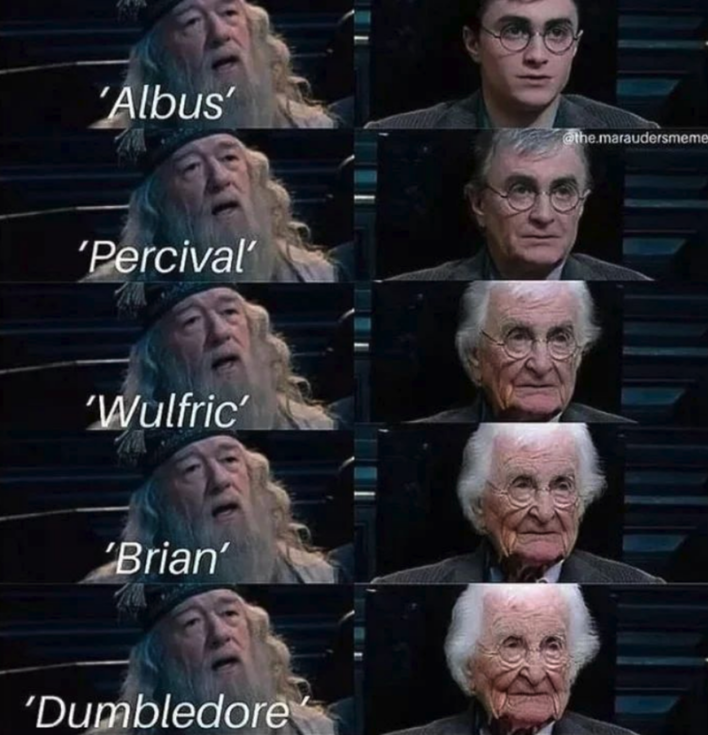 30 Dumbledore Memes In Loving Memory Of The Headmaster Of Our Hearts
