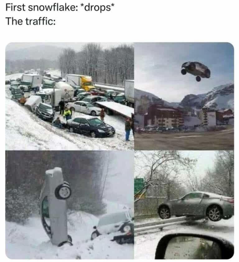 35+ Snow Memes To Melt Away Your Winter Blues