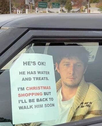 65 Funniest Christmas Pictures To Deck Your Halls With Boughs Of Humor