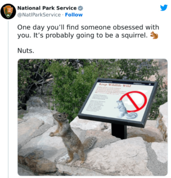 40 Funniest National Park Service Tweets From This Year