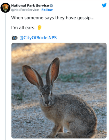 40 Funniest National Park Service Tweets From This Year