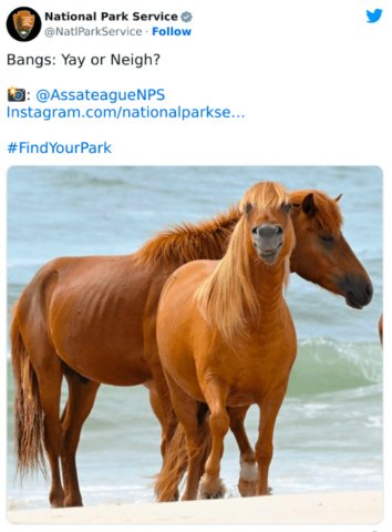 40 Funniest National Park Service Tweets From This Year