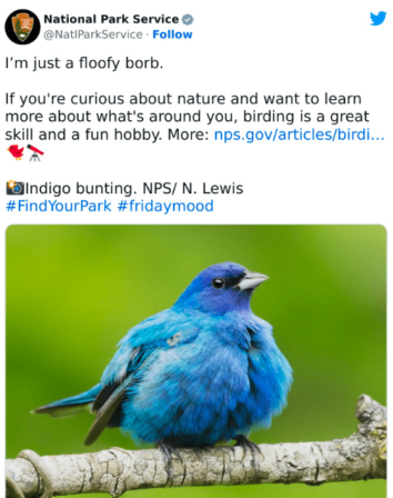 40 Funniest National Park Service Tweets From This Year