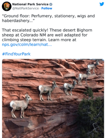 40 Funniest National Park Service Tweets From This Year