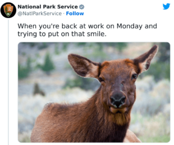 40 Funniest National Park Service Tweets From This Year