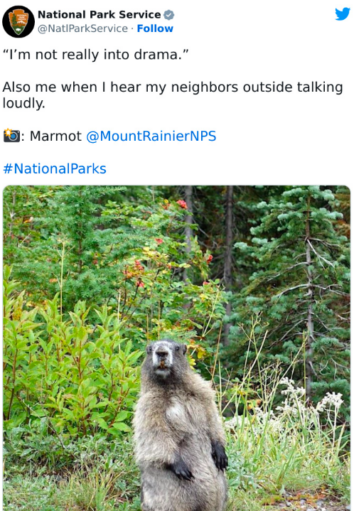 40 Funniest National Park Service Tweets From This Year