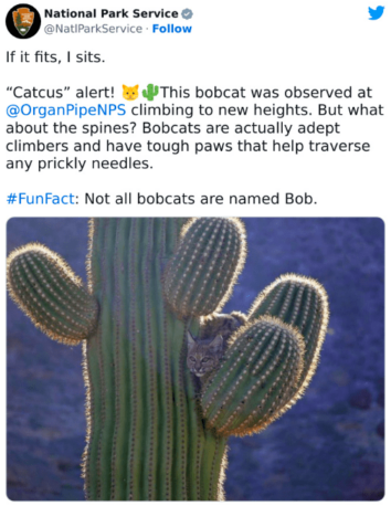 40 Funniest National Park Service Tweets From This Year
