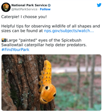40 Funniest National Park Service Tweets From This Year